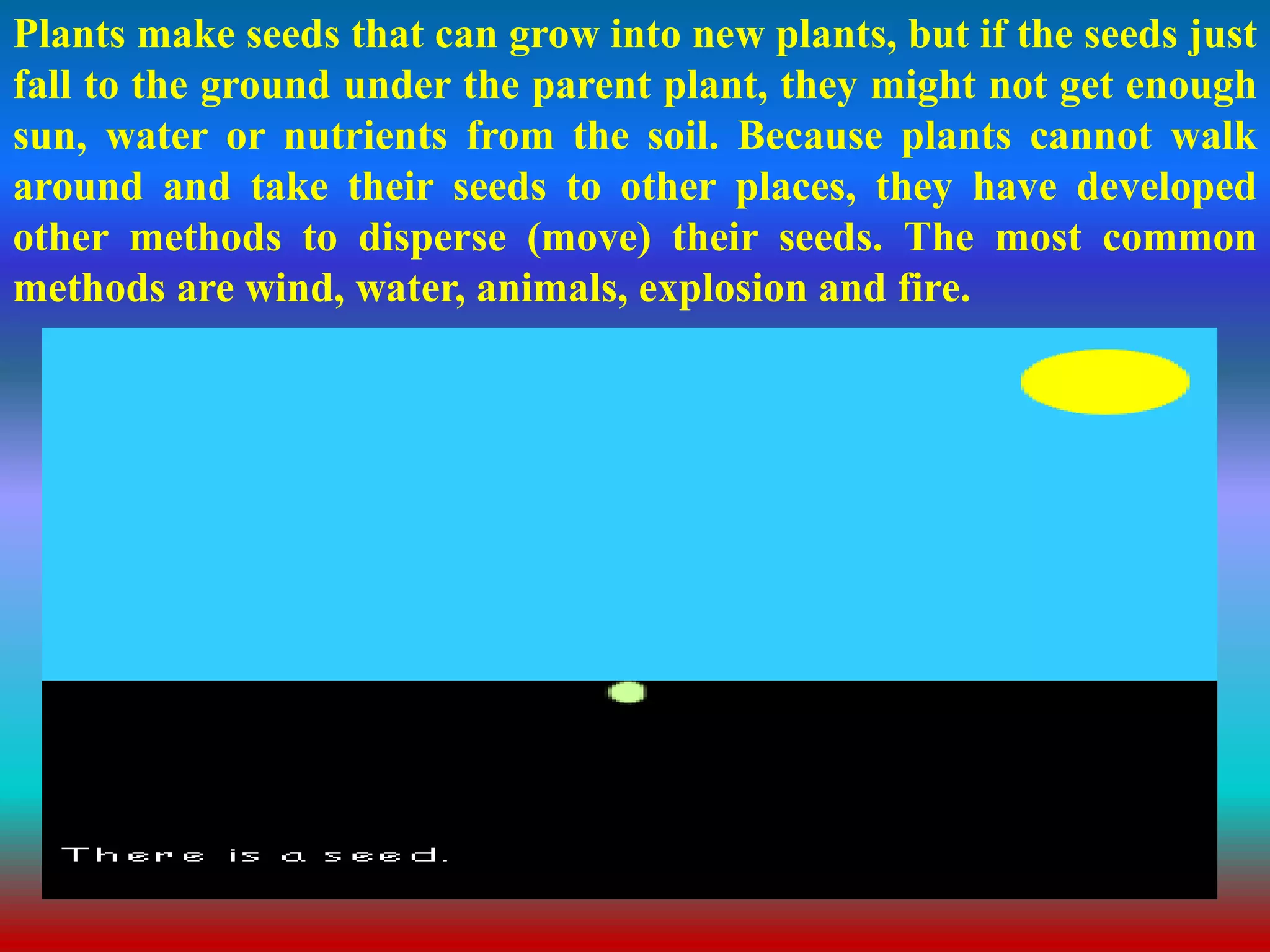 SEED DISPERSAL- CLASS V ENVIRONMENTAL STUDIES | PPTX