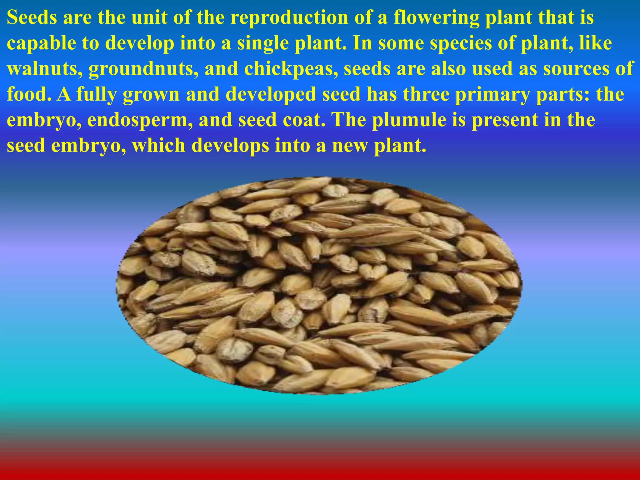 SEED DISPERSAL- CLASS V ENVIRONMENTAL STUDIES | PPTX