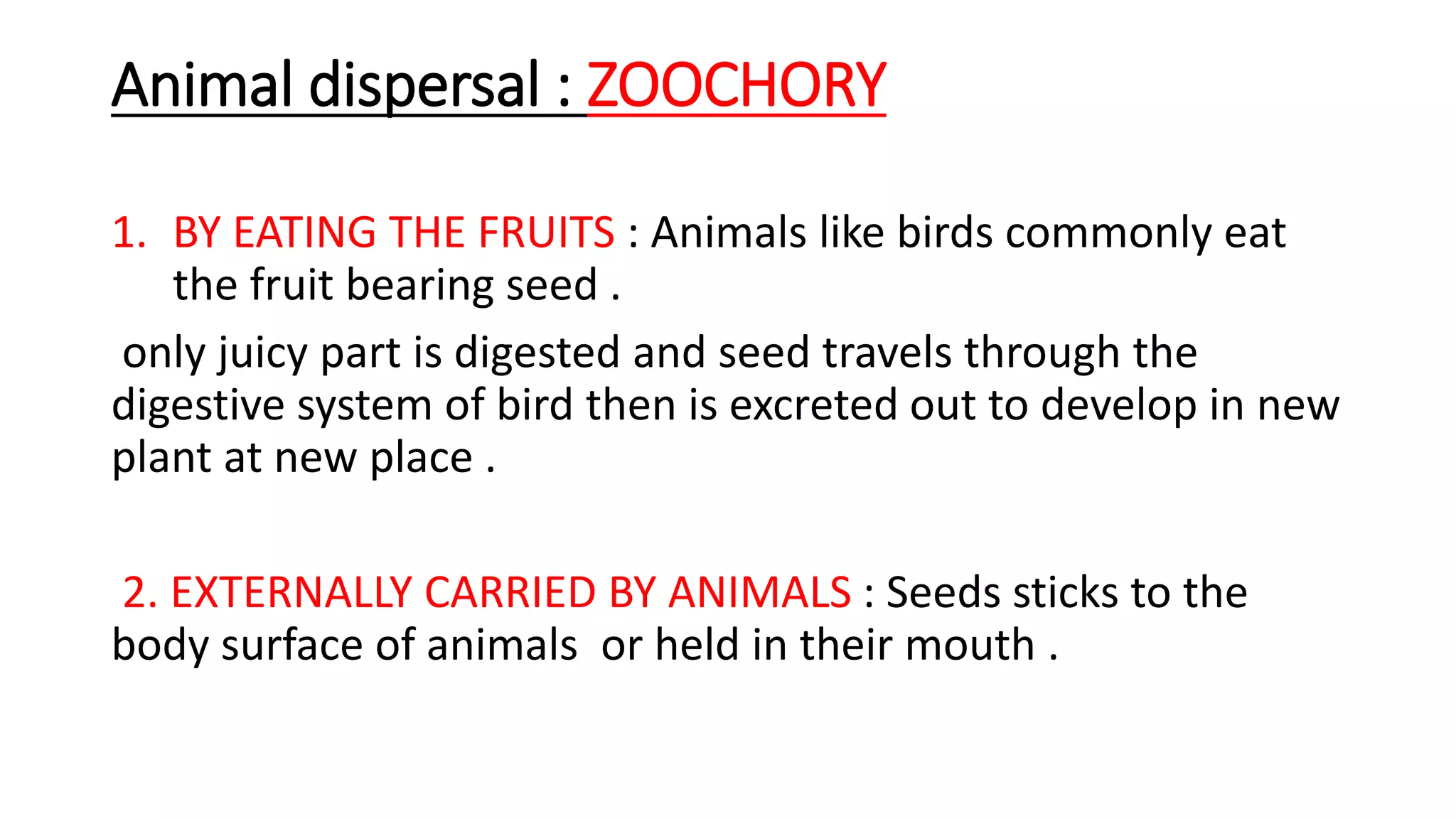 seed dispersal | PPTX