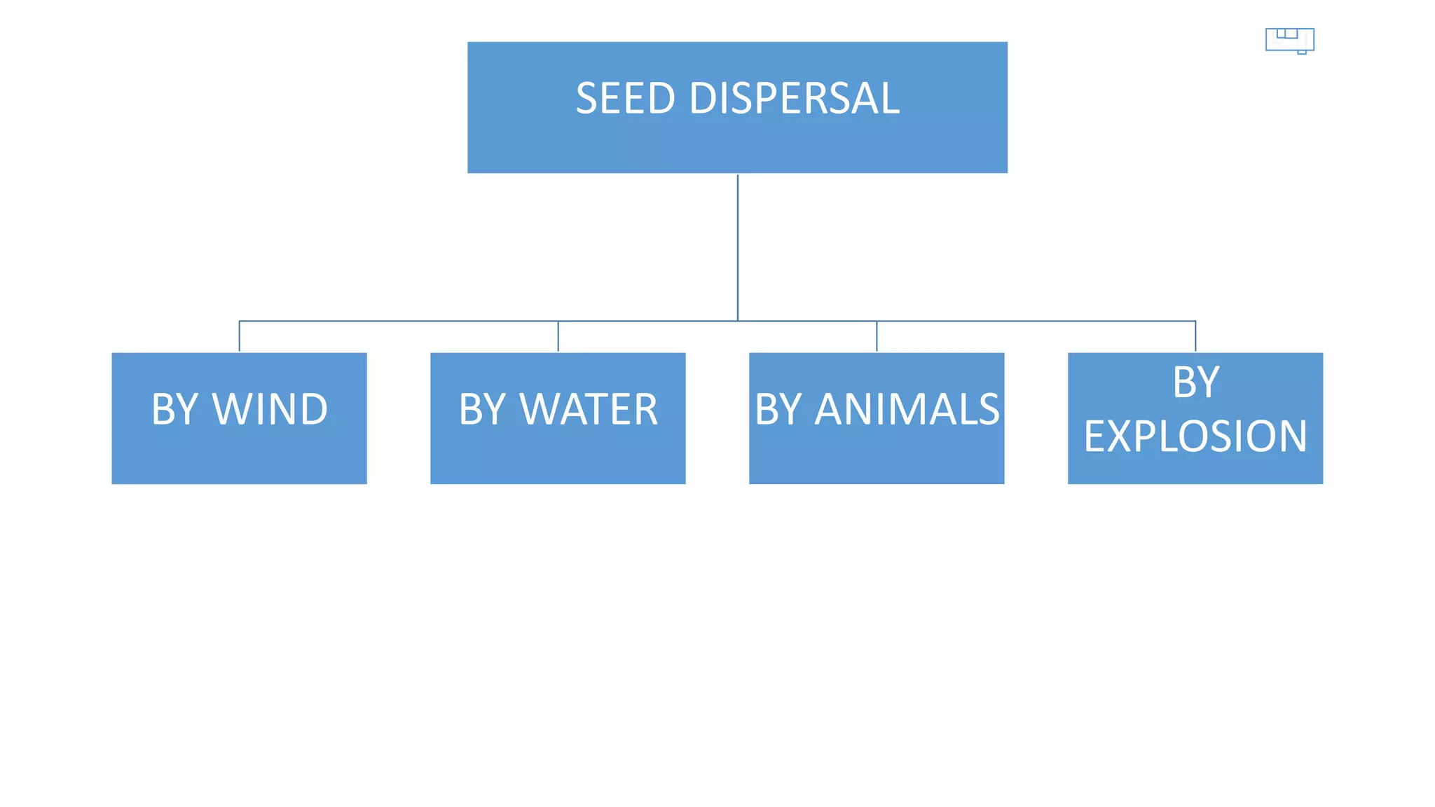 seed dispersal | PPTX