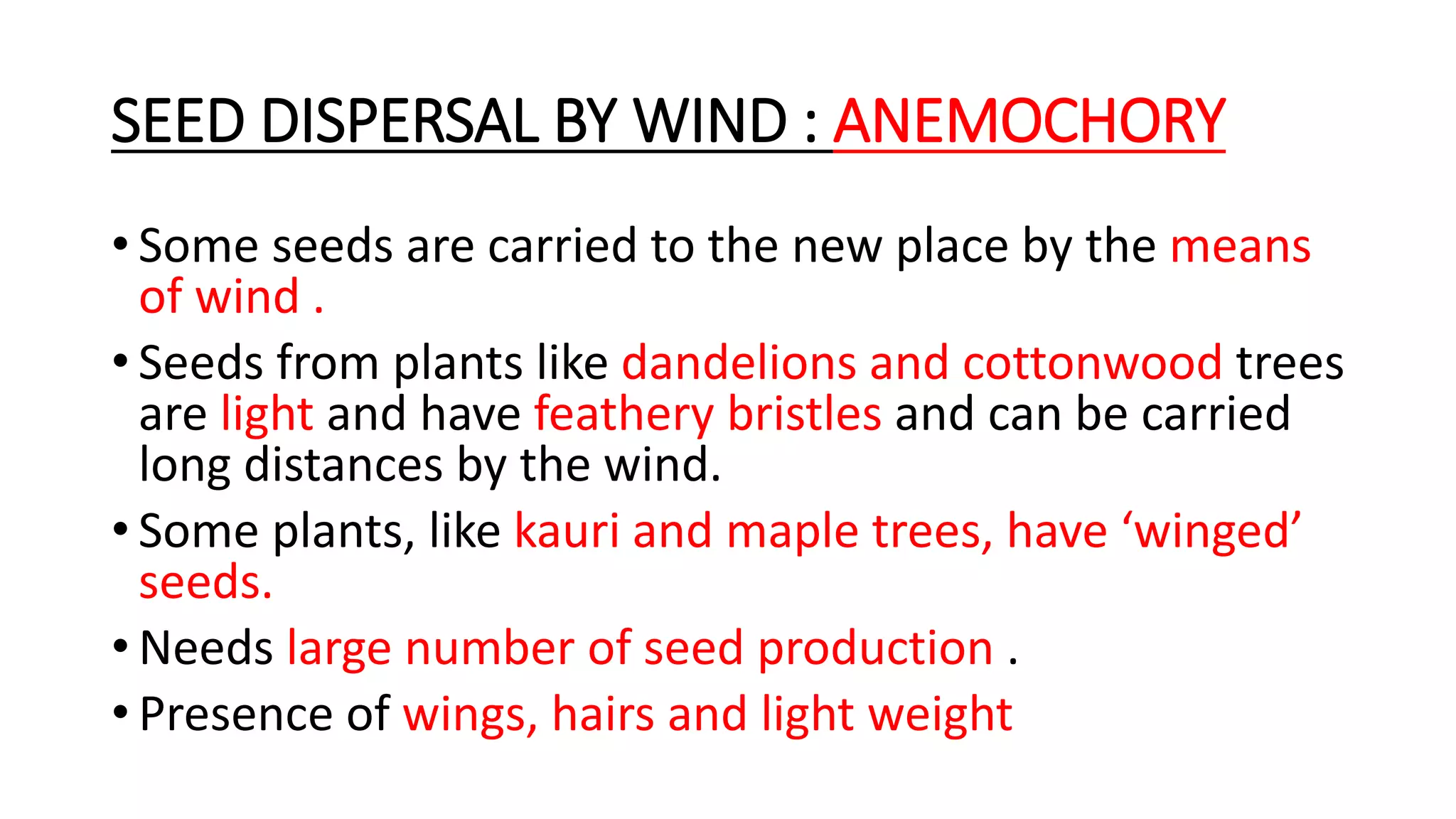 seed dispersal | PPTX