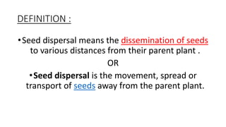 seed dispersal | PPTX