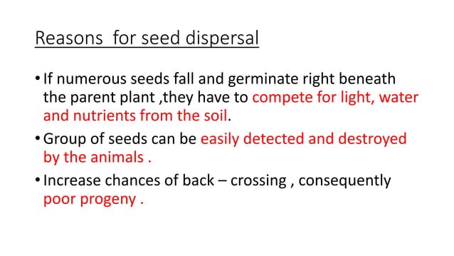 seed dispersal | PPTX | Gardening | Home & Garden