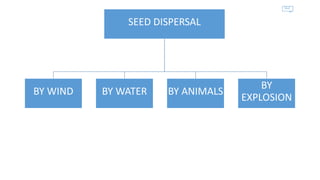 seed dispersal | PPTX