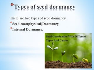 seed dormaancy | PPTX | Gardening | Home & Garden