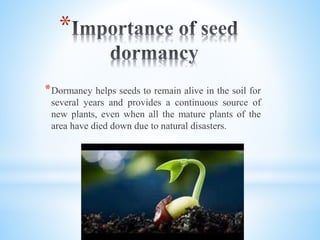 seed dormaancy | PPTX | Gardening | Home & Garden