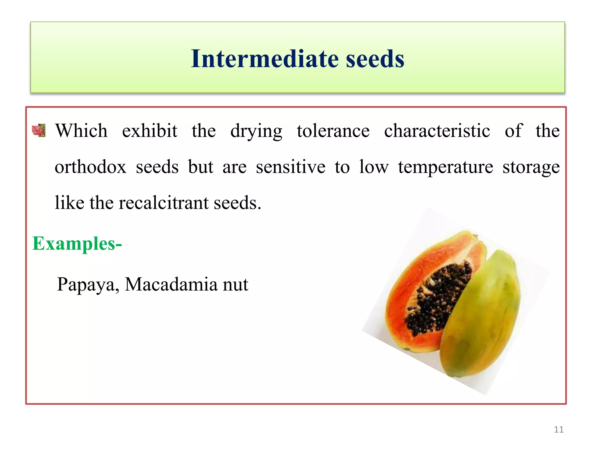 Seed dormancy in tropical fruit crops and measure to overcome it | PPTX