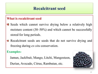 Seed dormancy in tropical fruit crops and measure to overcome it | PPTX