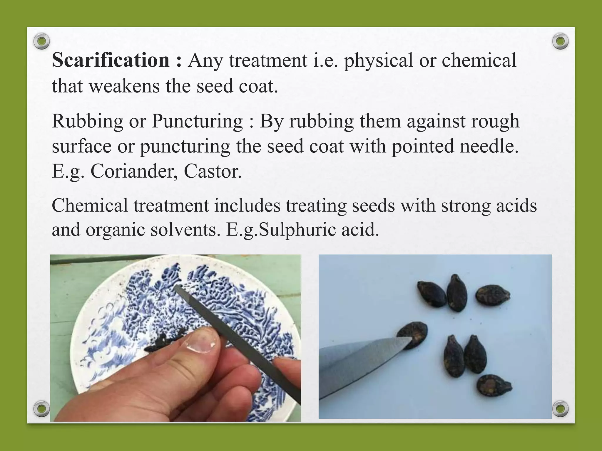 Seed dormancy | PPTX
