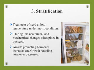 Seed dormancy | PPTX