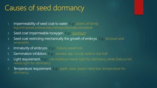 Seed dormancy | PPTX