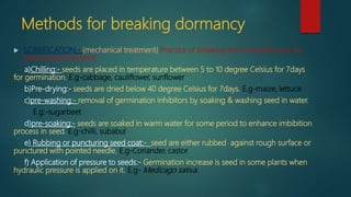 Seed dormancy | PPTX
