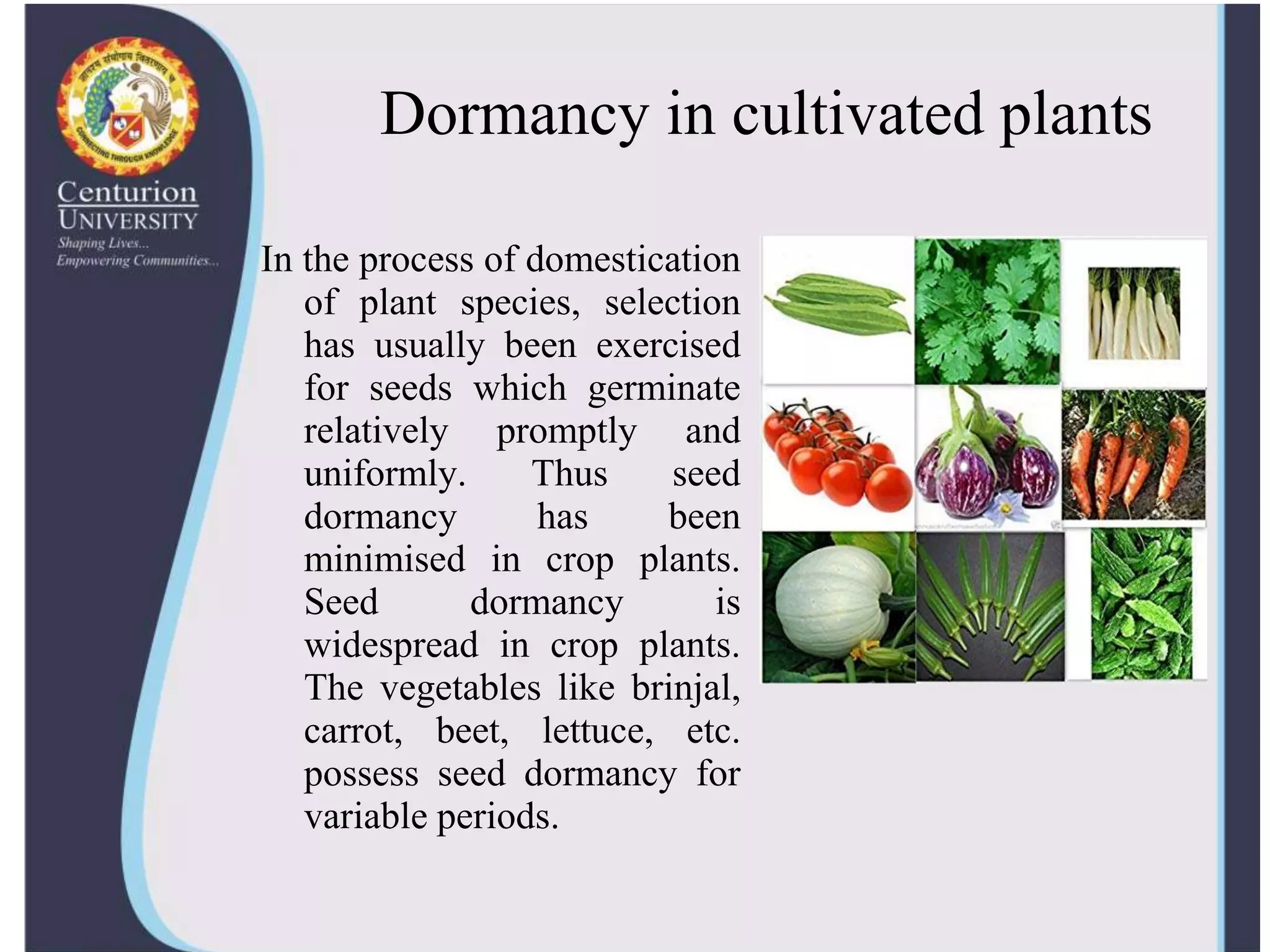 Seed dormancy | PPTX
