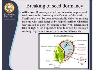 Seed dormancy | PPTX