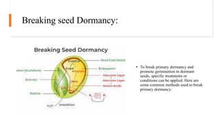 Seed Dormancy.pptx