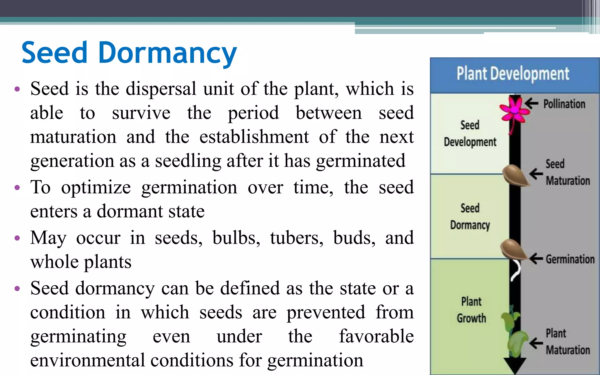 Seed dormancy plant propagation | PPT
