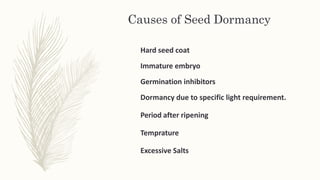 Seed dormancy, its causes and applicability | PPTX