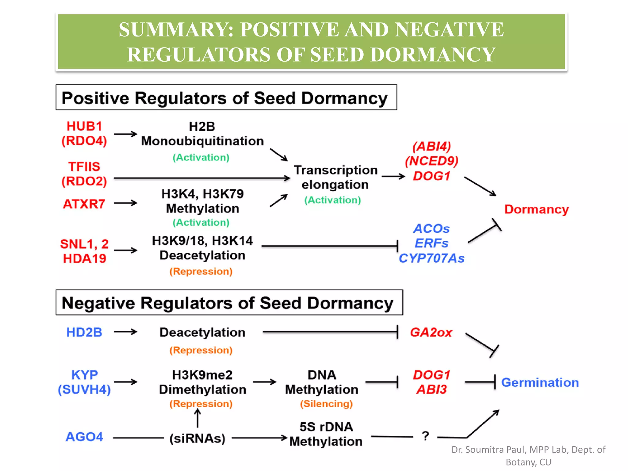 Seed dormancy and germination regulation | PDF