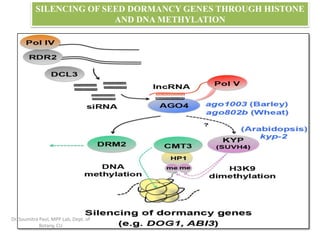 Seed dormancy and germination regulation | PDF