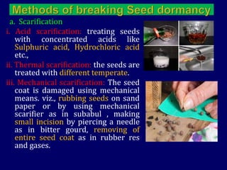 Seed Dormancy | PPTX
