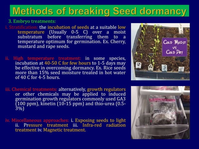 Seed Dormancy | PPTX