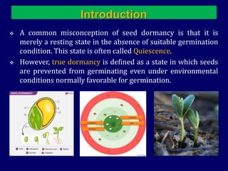 Seed Dormancy | PPTX
