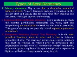 Seed Dormancy | PPTX
