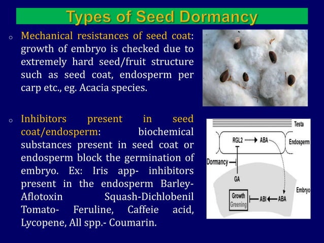 Seed Dormancy | PPTX