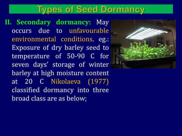 Seed Dormancy | PPTX