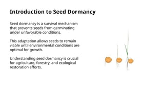 Seed Dormancy It's Types And What's The Measures Needed To Break The ...