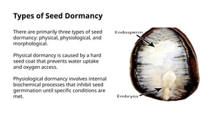 Seed Dormancy It's Types And What's The Measures Needed To Break The ...