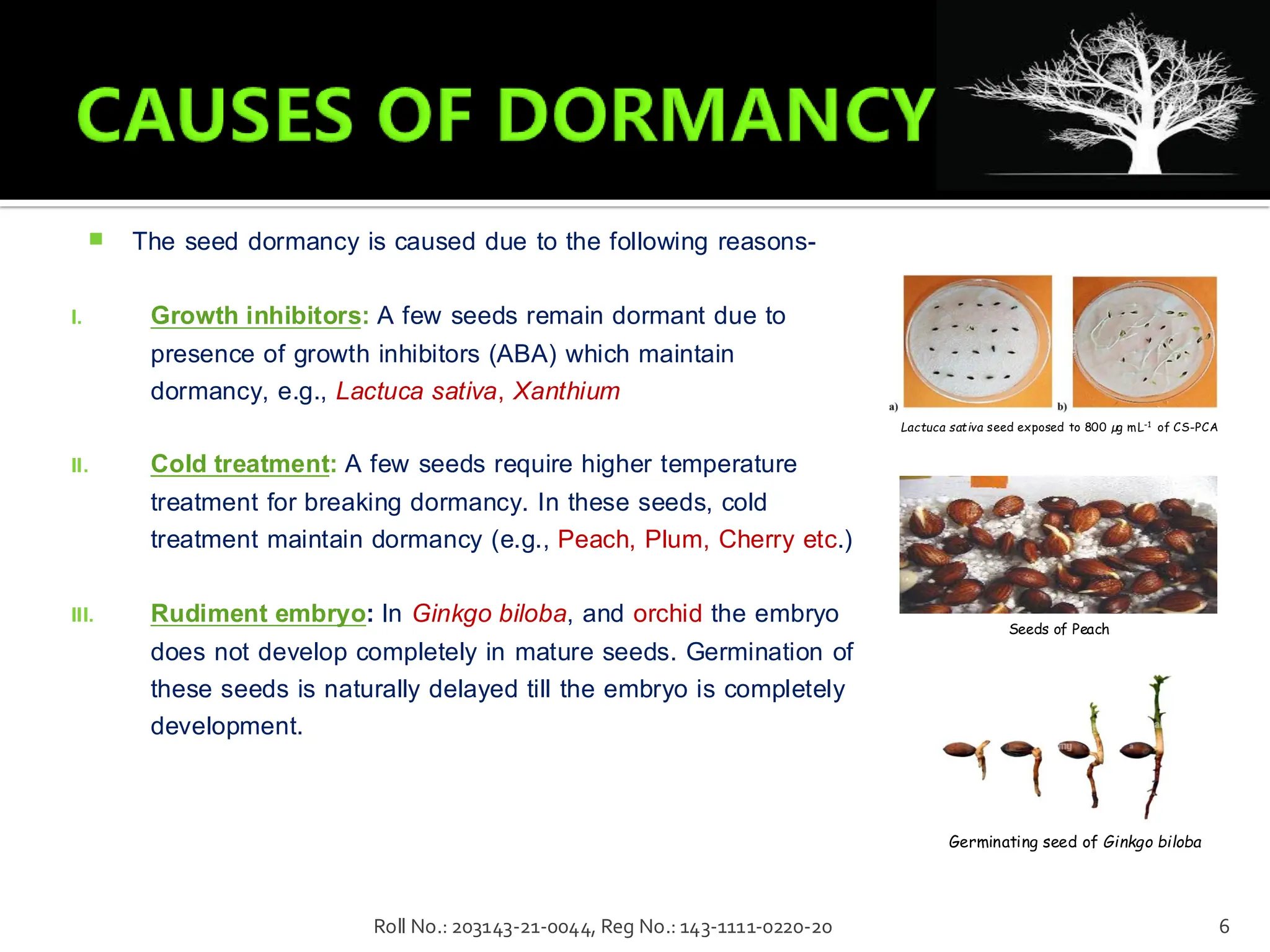 seed dormancy pdf for botany students, Life science students,college students | PDF