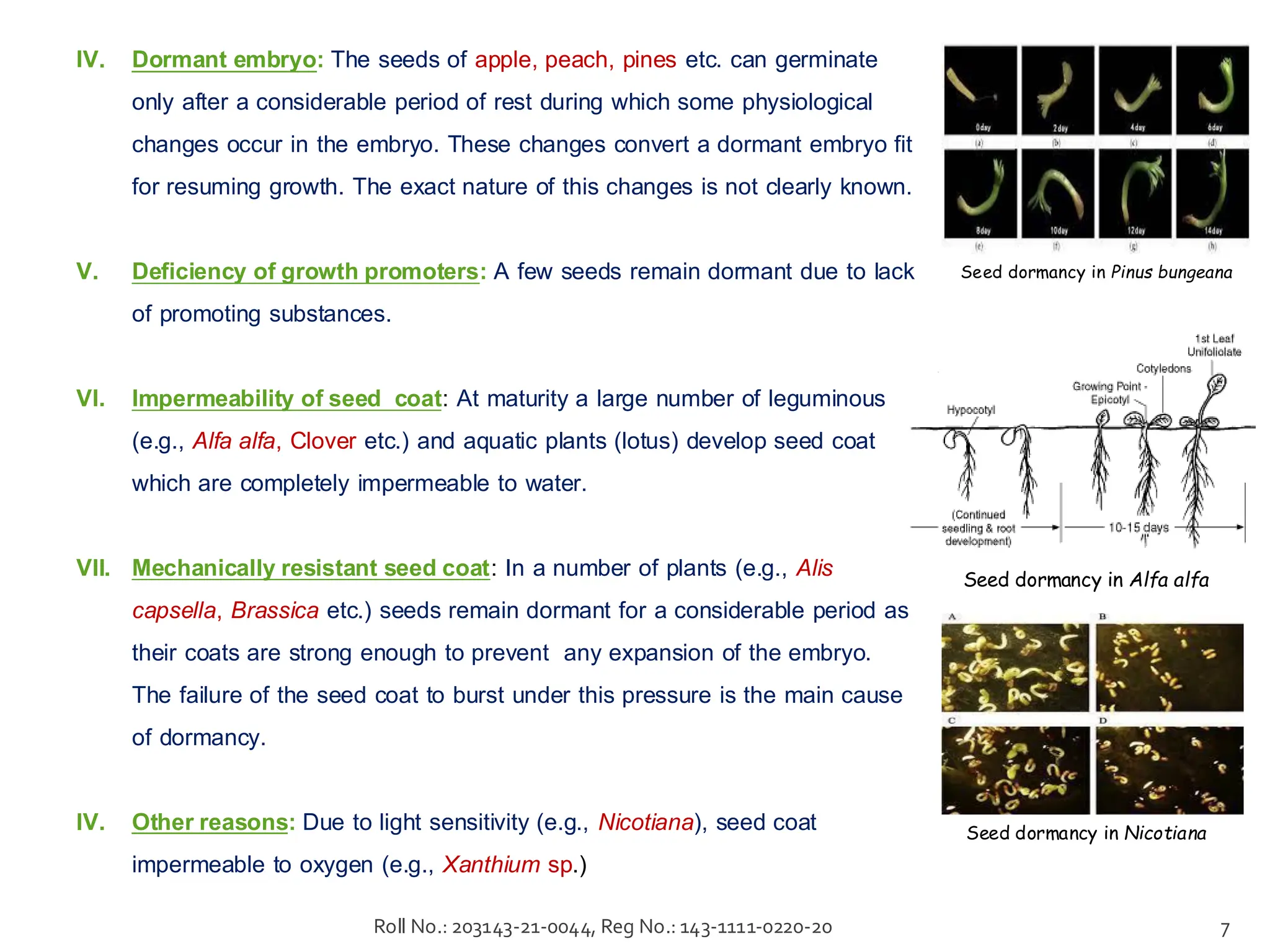 seed dormancy pdf for botany students, Life science students,college ...