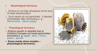 SEED DORMANCY vishal.pptx