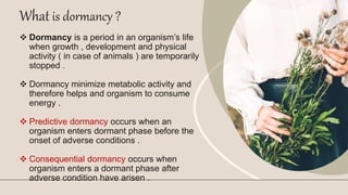 SEED DORMANCY vishal.pptx