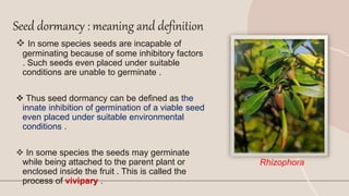 SEED DORMANCY vishal.pptx