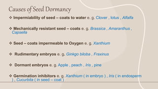 SEED DORMANCY vishal.pptx