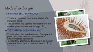 SEED DORMANCY vishal.pptx
