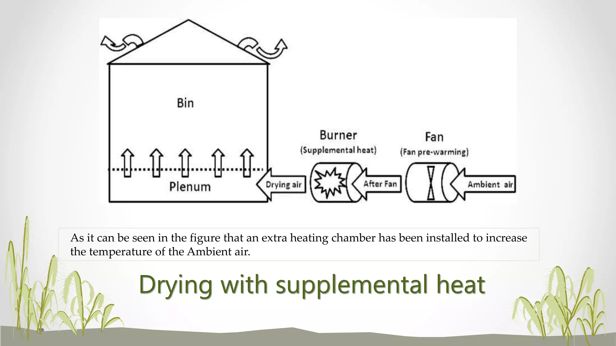 Seed drying and it's methods | PPTX