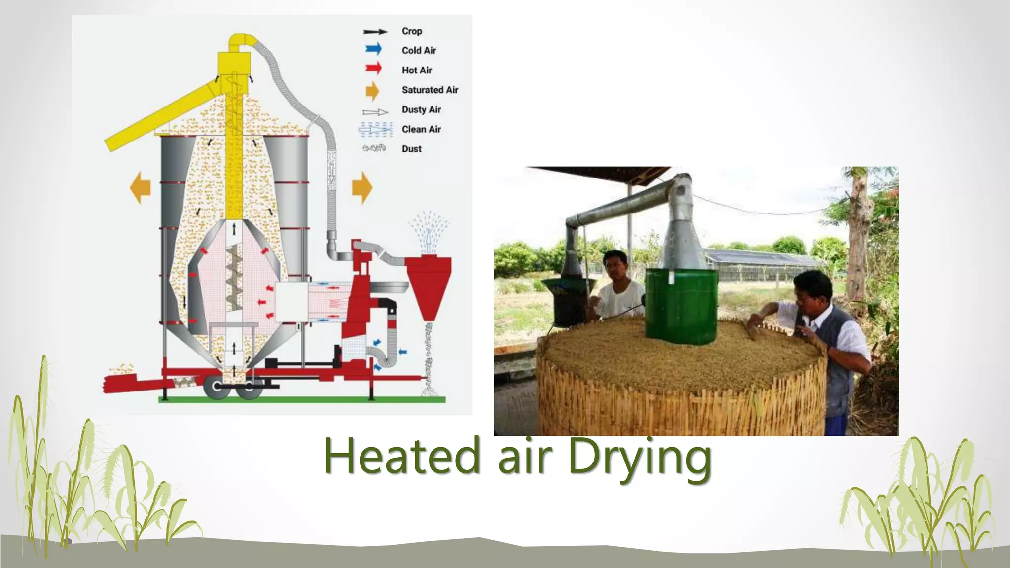 Seed drying and it's methods | PPTX