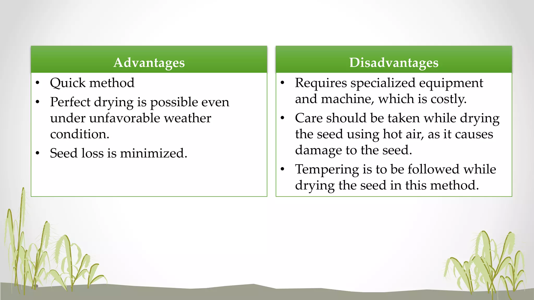 Seed drying and it's methods | PPTX