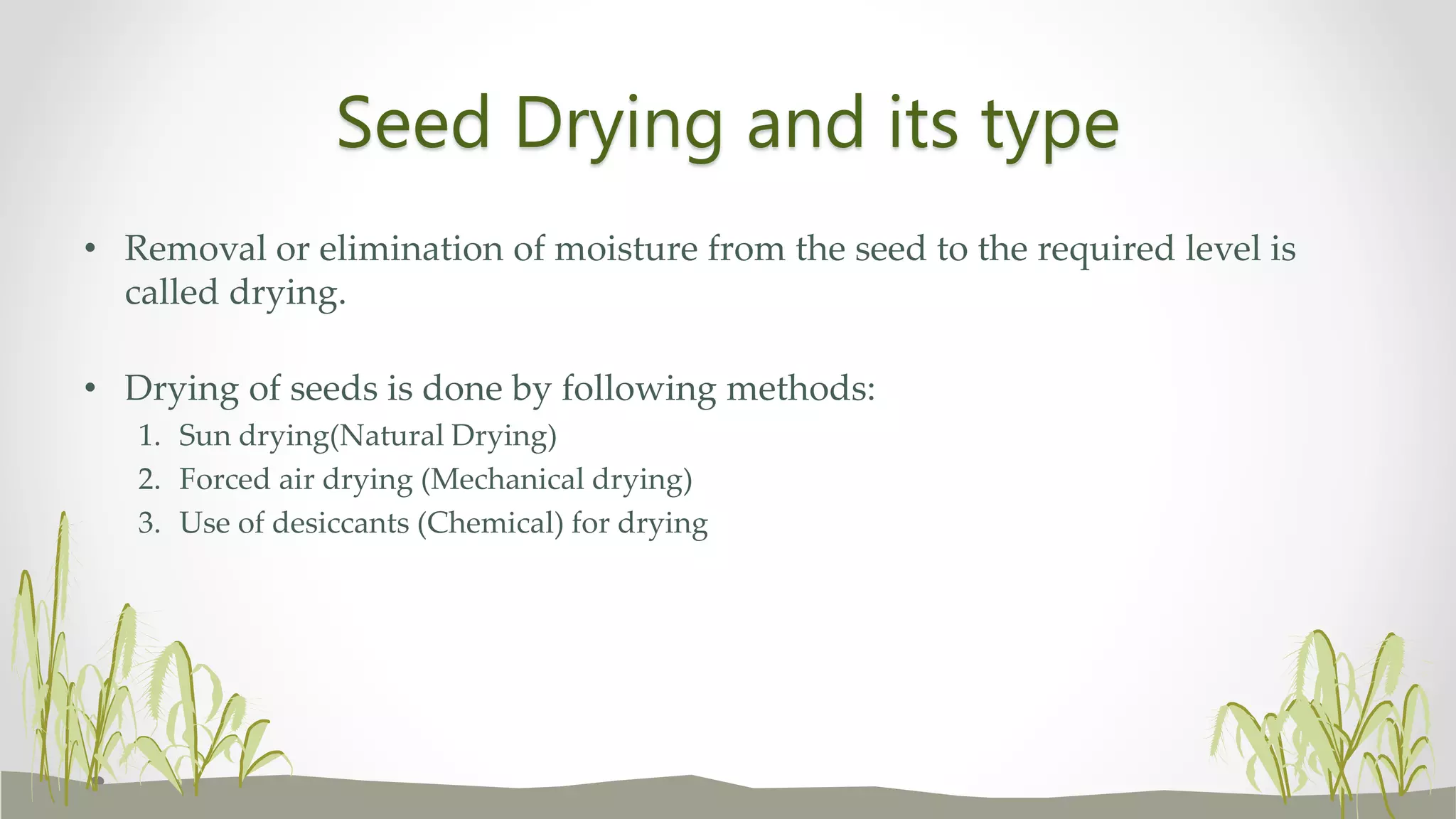 Seed drying and it's methods | PPTX