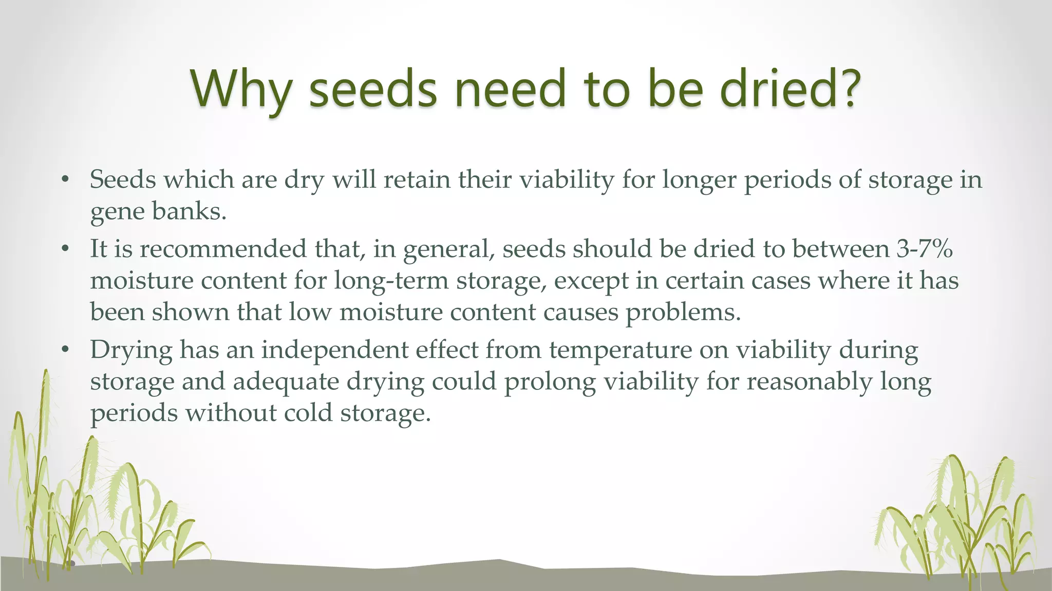 Seed drying and it's methods | PPTX