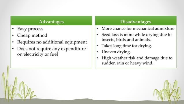 Seed drying and it's methods | PPTX | Gardening | Home & Garden