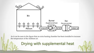 Seed drying and it's methods | PPTX