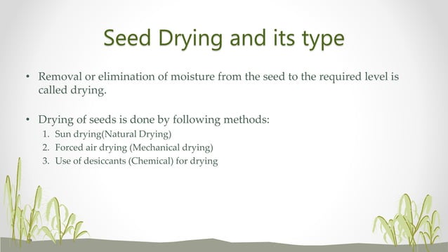 Seed drying and it's methods | PPTX | Gardening | Home & Garden