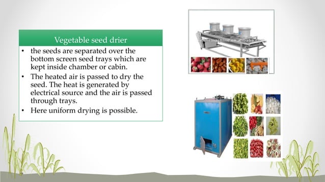 Seed drying and it's methods | PPTX | Gardening | Home & Garden