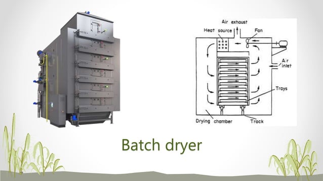 Seed drying and it's methods | PPTX | Gardening | Home & Garden