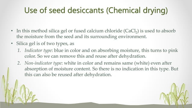 Seed drying and it's methods | PPTX | Gardening | Home & Garden