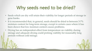 Seed drying and it's methods | PPTX